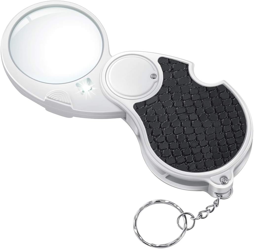 Magnifying Glass with Light, Lighted Magnifying Glass, Handheld Pocket ...