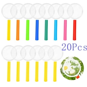 Magnifying Glass Kids