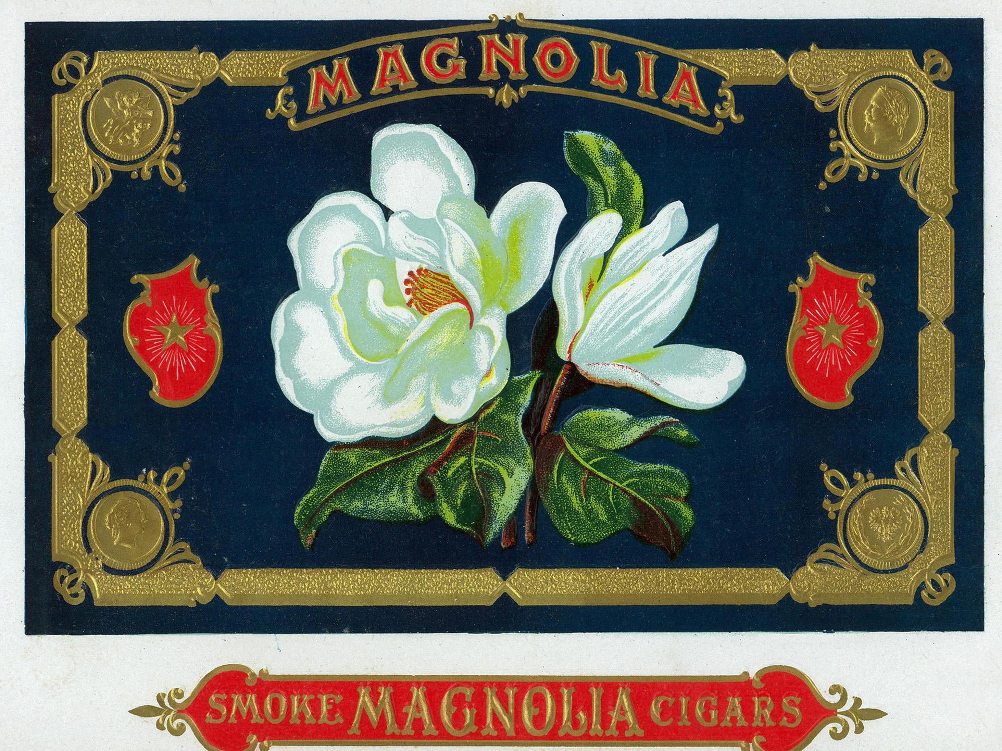 Art.com Magnolia Brand Cigar Box Label Art Print by Lantern Press, 32 ...