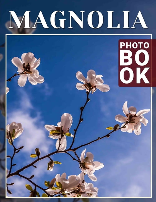 Magnolia Photo Book: Stunning Imagery Of Magnolias Showcasing Nature's ...