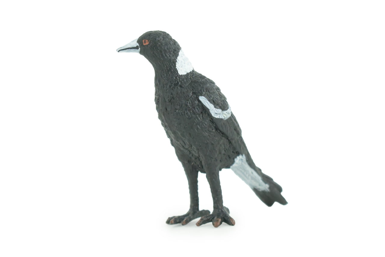 Magpie Bird, Hand Painted, Educational, High Quality Rubber Bird ...