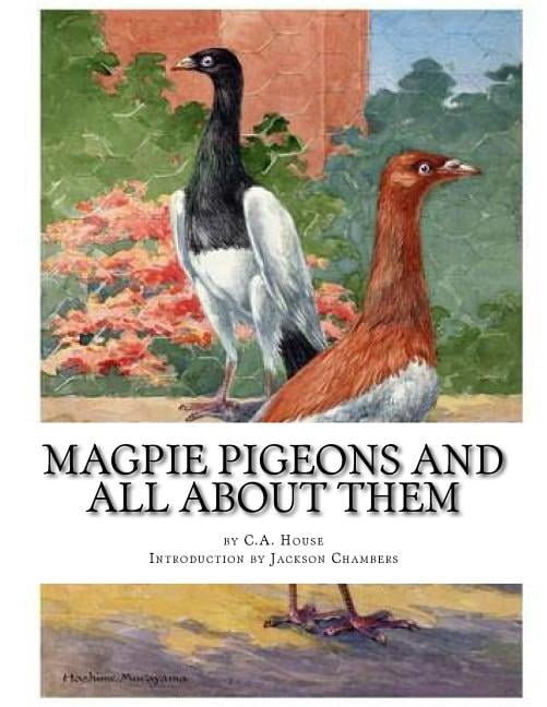 Magpie Pigeons and All About Them: A Guide To The Breeding and ...