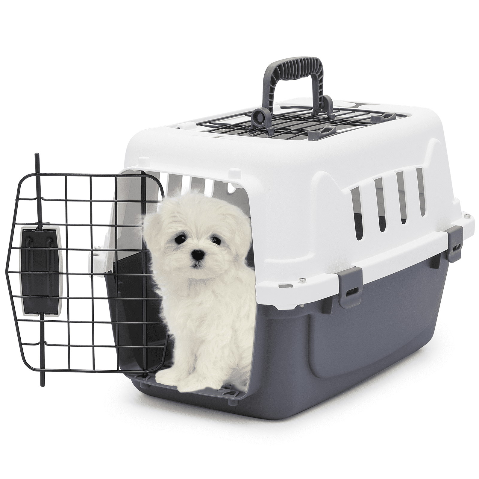 Magshion Portable Airline Approved Pet Carrier Mexico Ubuy