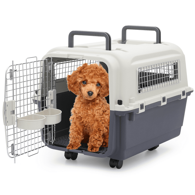 Magshion Hard Carry Pet Carrier with Dual Bowls & Wheels, Airline ...