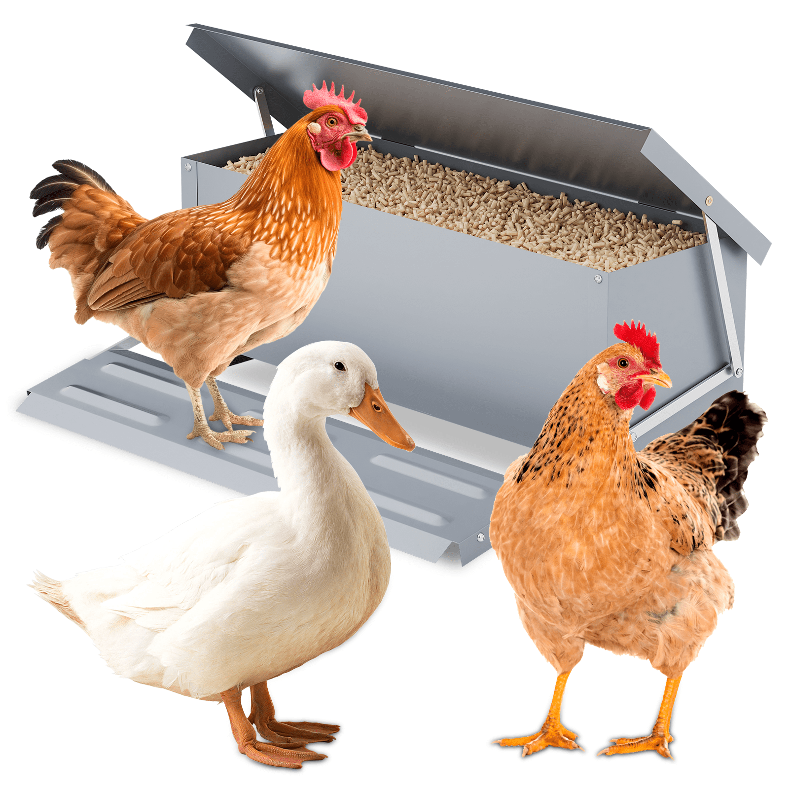 Magshion Automatic Chicken Feeder, 22lbs Capacity Galvanized Steel ...