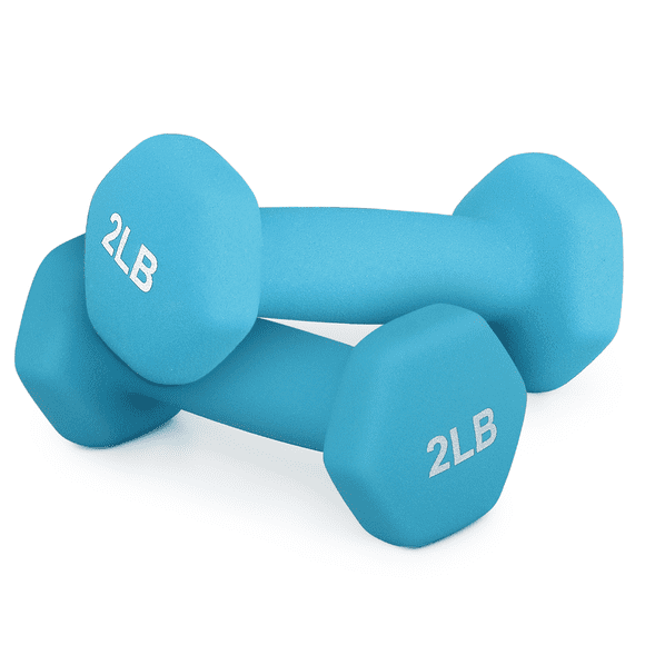 2lbs Weights