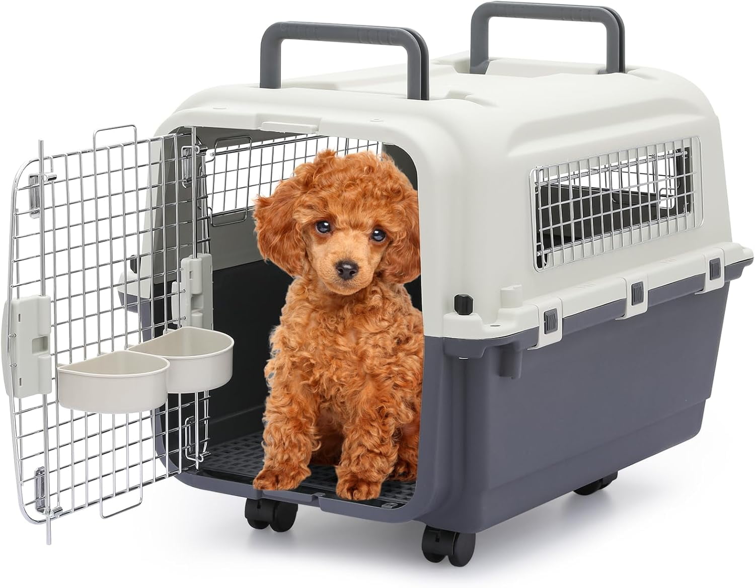 Magshion Pets Plastic Carrier, 22-Inch Hard-Sided 2-Door Top-Loading ...