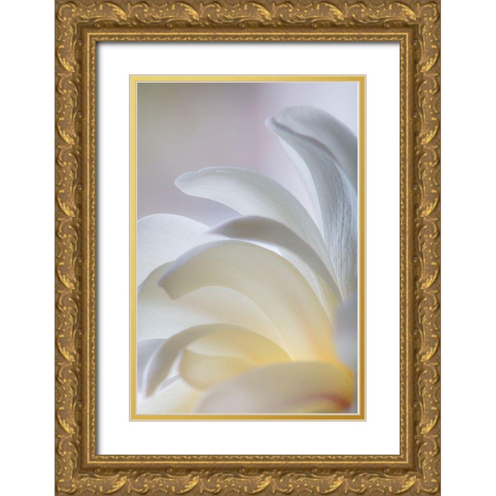 Mahan, Kathy 11x14 Gold Ornate Wood Framed with Double Matting Museum ...