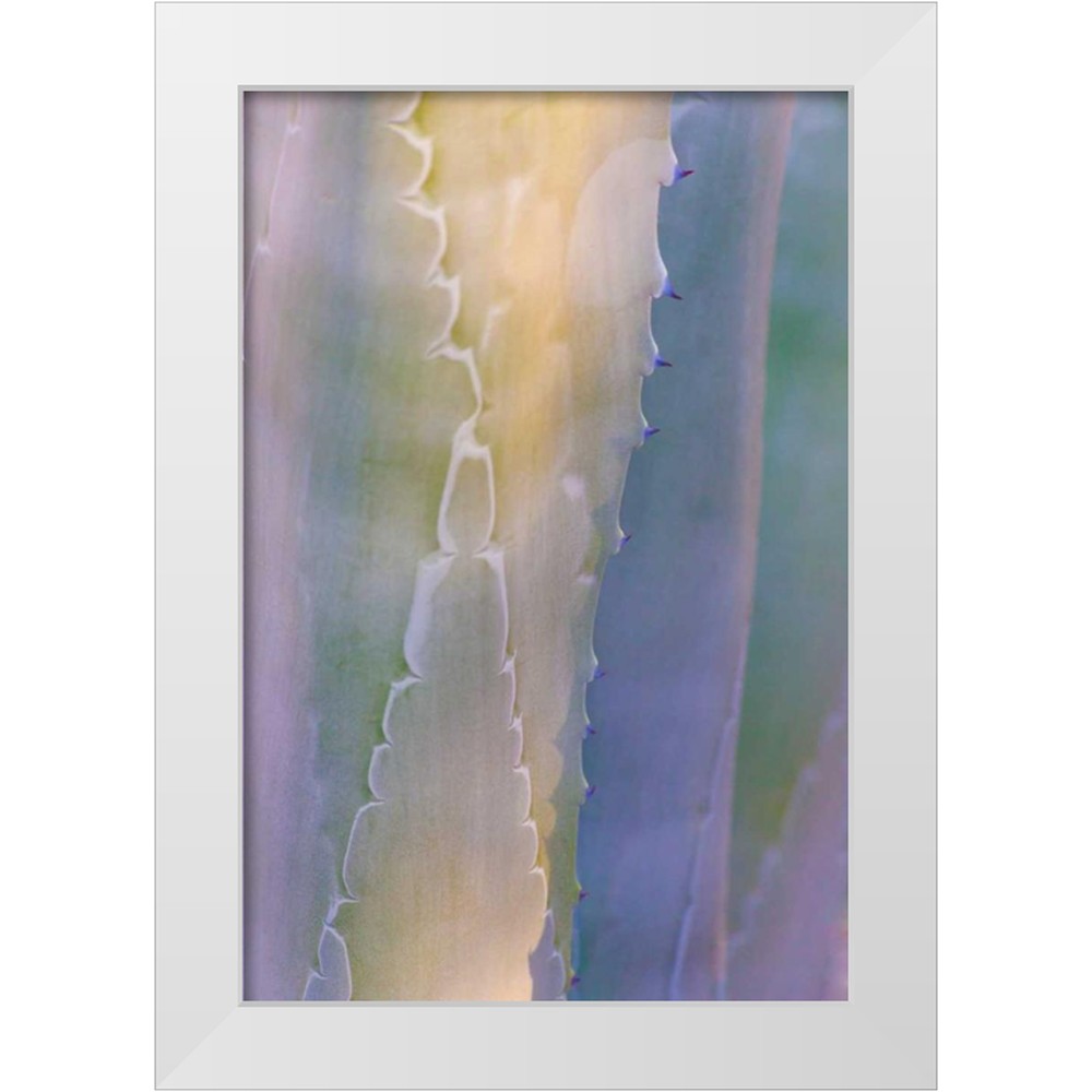 Mahan, Kathy 11x14 White Modern Wood Framed Museum Art Print Titled ...