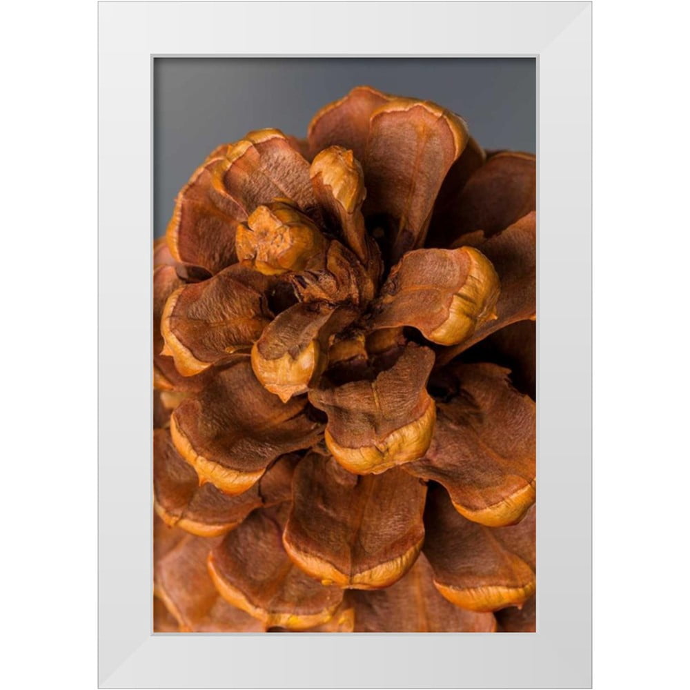 Mahan, Kathy 11x14 White Modern Wood Framed Museum Art Print Titled ...