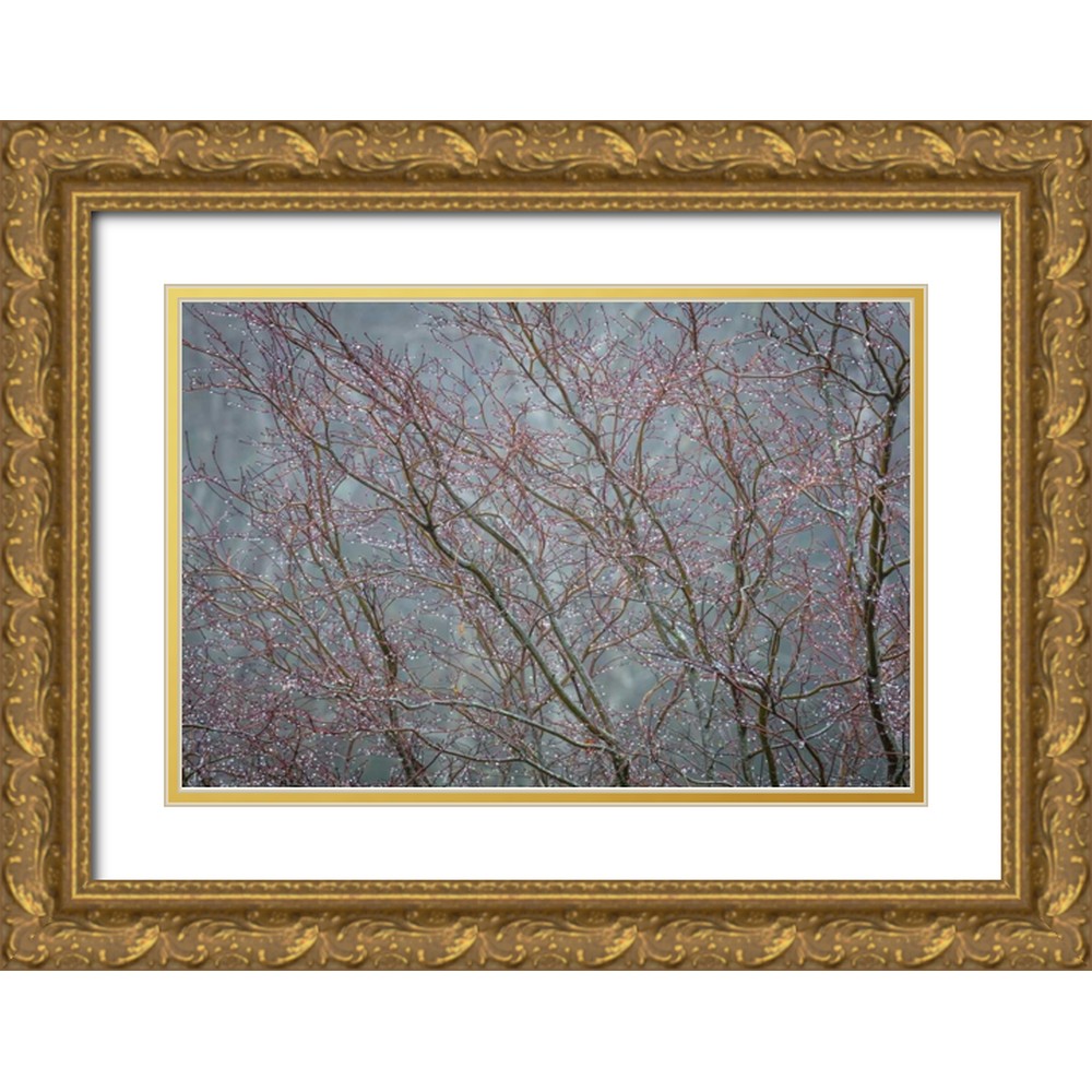 Mahan, Kathy 14x11 Gold Ornate Wood Framed with Double Matting Museum ...