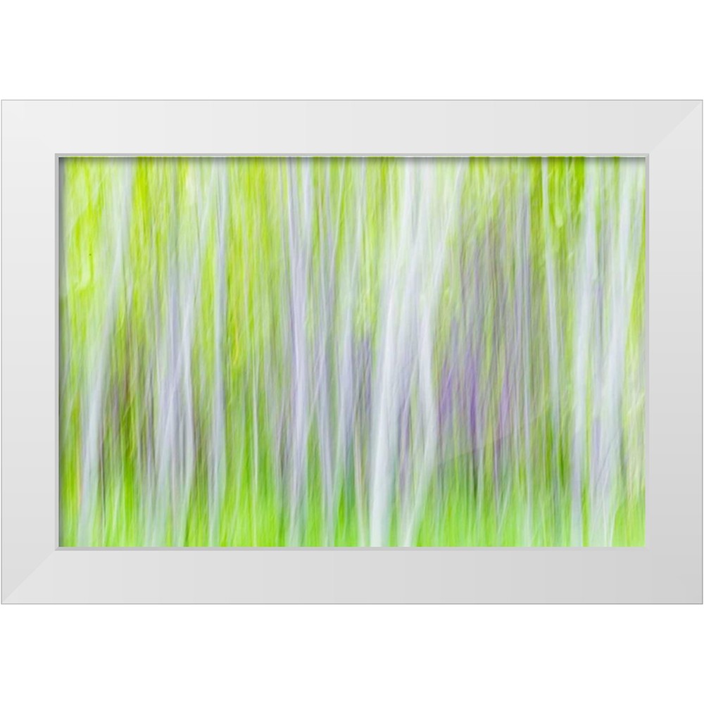 Mahan, Kathy 14x11 White Modern Wood Framed Museum Art Print Titled ...