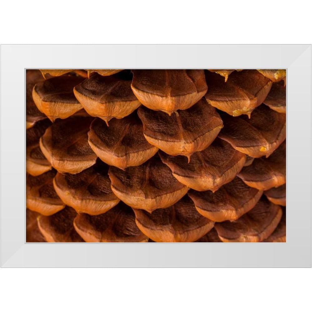 Mahan, Kathy 14x11 White Modern Wood Framed Museum Art Print Titled ...