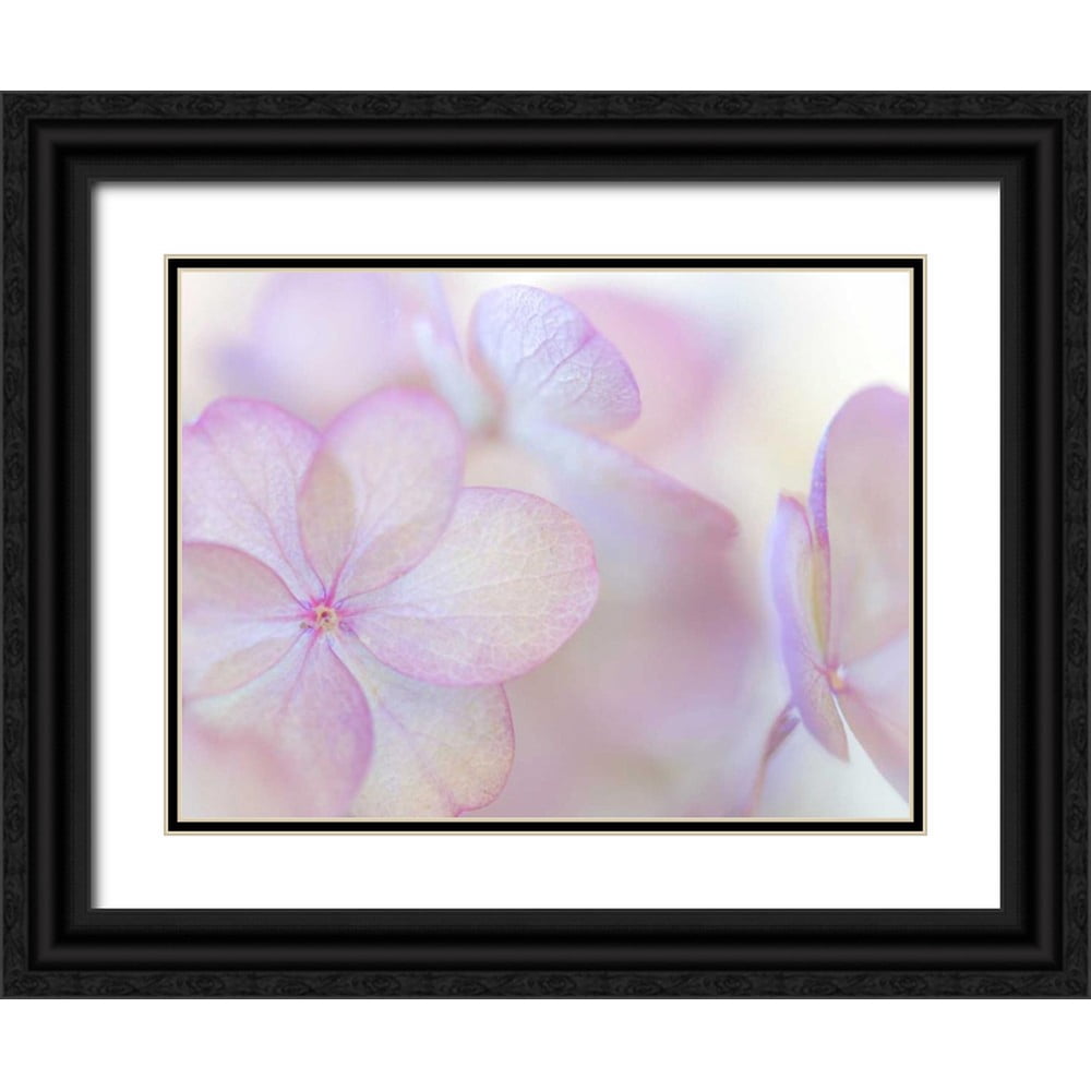 Mahan, Kathy 14x12 Black Ornate Wood Framed with Double Matting Museum ...