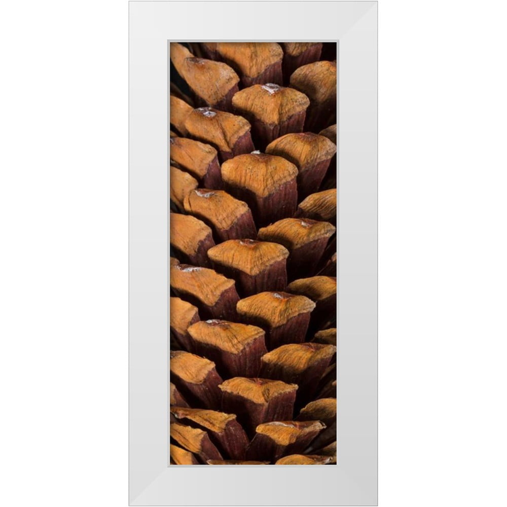 Mahan, Kathy 15x32 White Modern Wood Framed Museum Art Print Titled ...