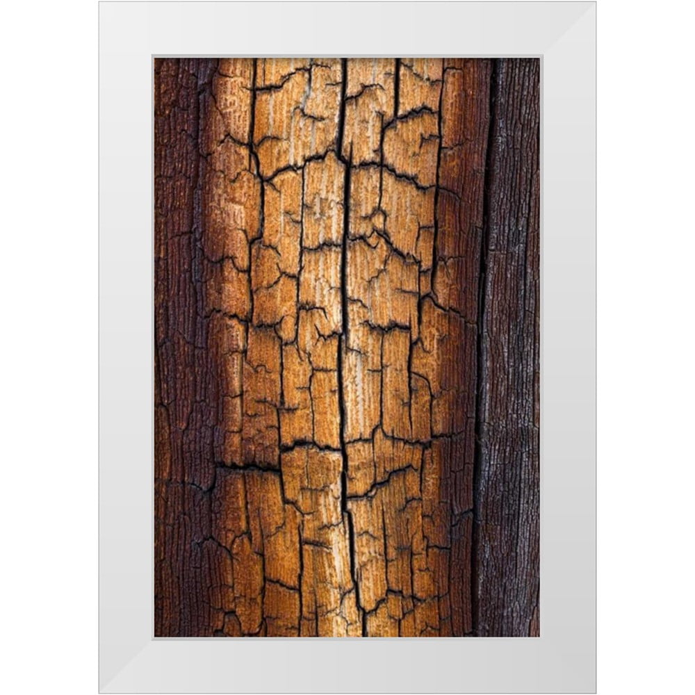 Mahan, Kathy 17x24 White Modern Wood Framed Museum Art Print Titled ...