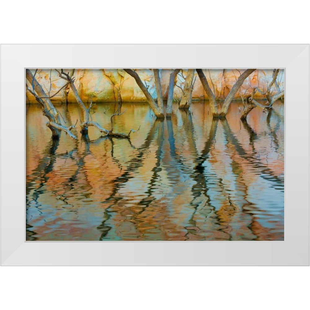 Mahan, Kathy 18x13 White Modern Wood Framed Museum Art Print Titled - Lake Powell Reflections II ...