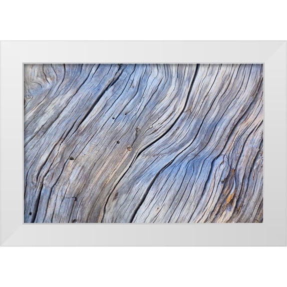 Mahan, Kathy 18x13 White Modern Wood Framed Museum Art Print Titled ...