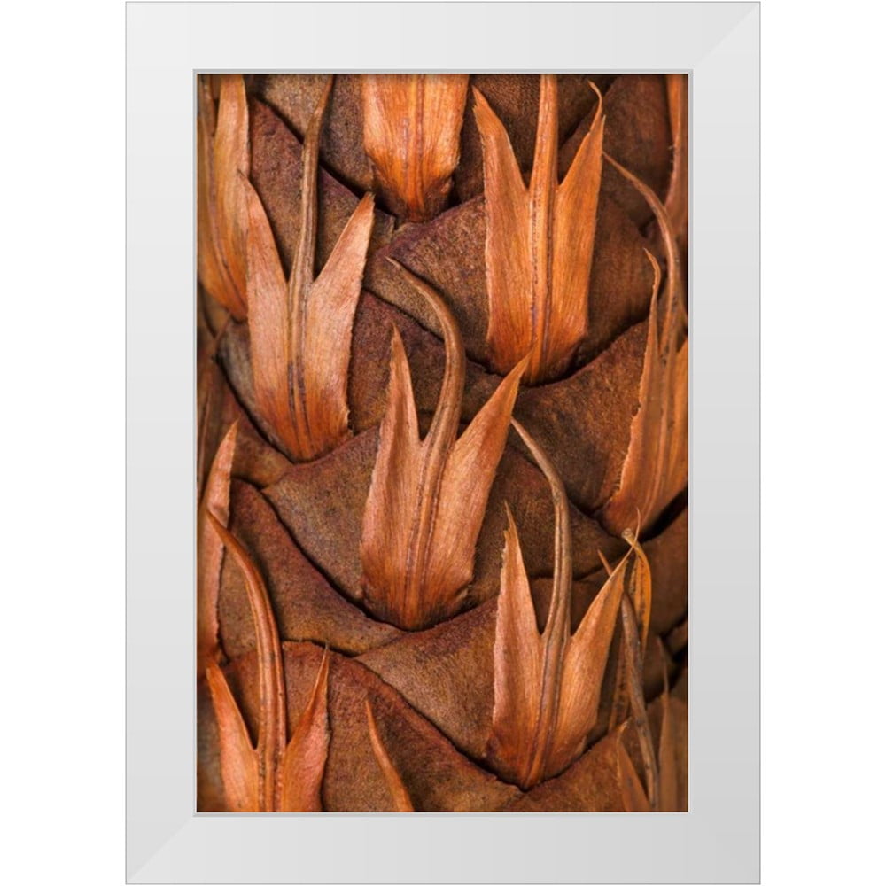 Mahan, Kathy 23x32 White Modern Wood Framed Museum Art Print Titled ...