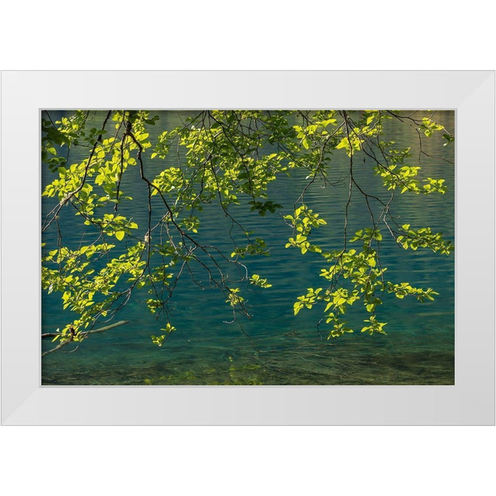 Mahan, Kathy 24x17 White Modern Wood Framed Museum Art Print Titled ...