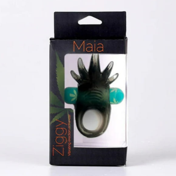 Vacuum Erection Devices