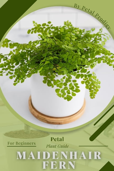 Maidenhair Fern: Prodigy Petal, Plant Guide - Walmart.com