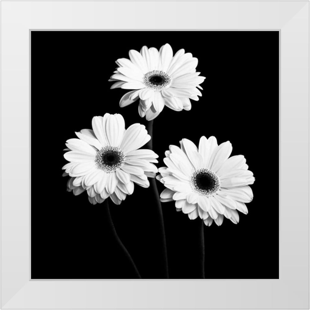 Maihara, Jeff 12x12 White Modern Wood Framed Museum Art Print Titled ...