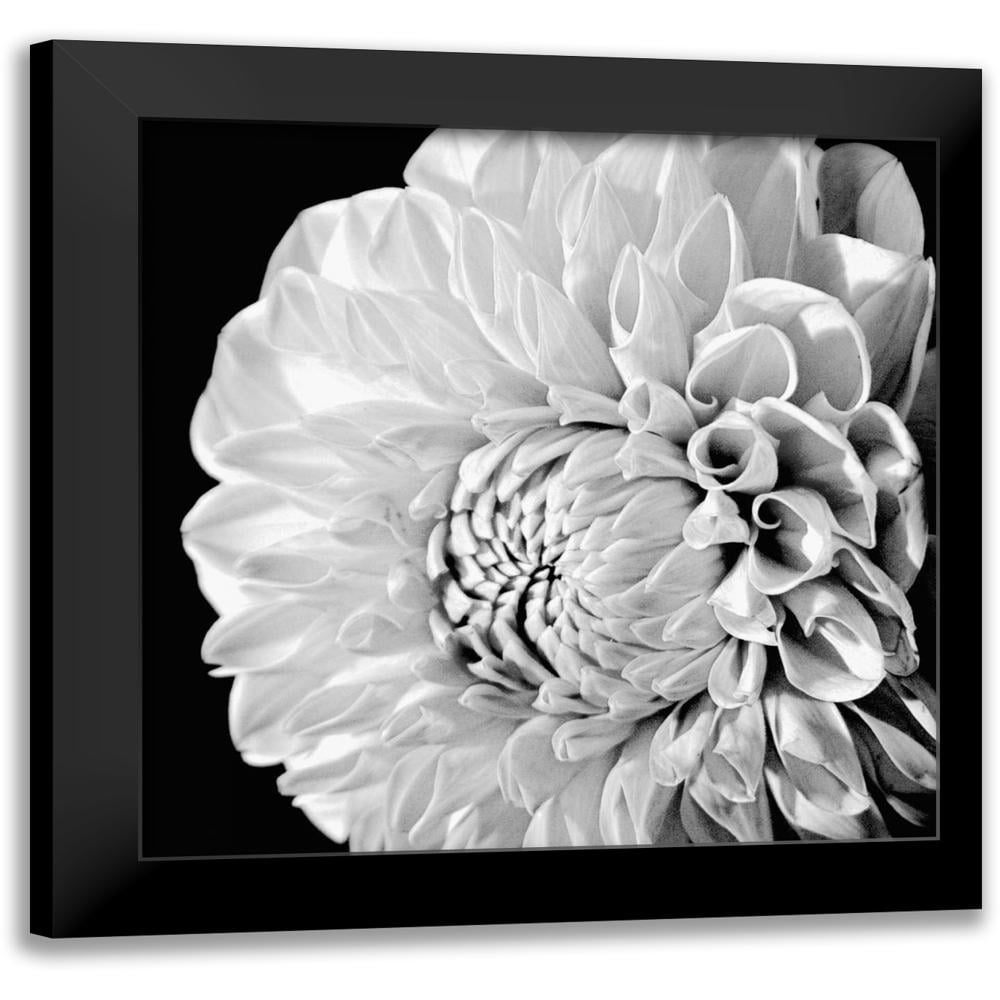 Maihara/Watt, Jeff/Boyce 15x15 Black Modern Framed Museum Art Print ...