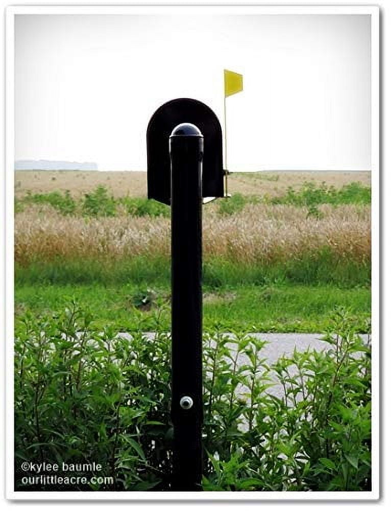 Mail Tattle-Tail Mail Alert Flag - Walmart.com