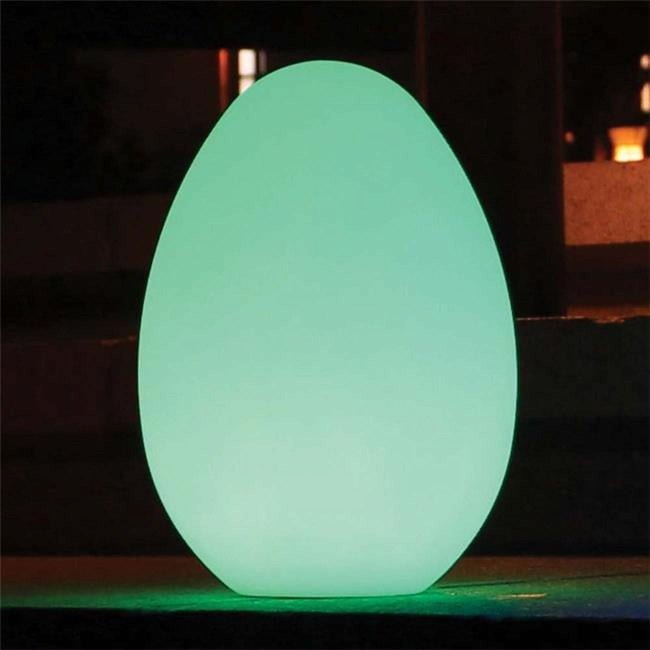 Main Access LED Genesis 12"x9" Small Egg-Waterproof, Floating w/remote ...