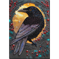 Main Bead Embroidery Kit - Black raven AB-904 - Walmart.com