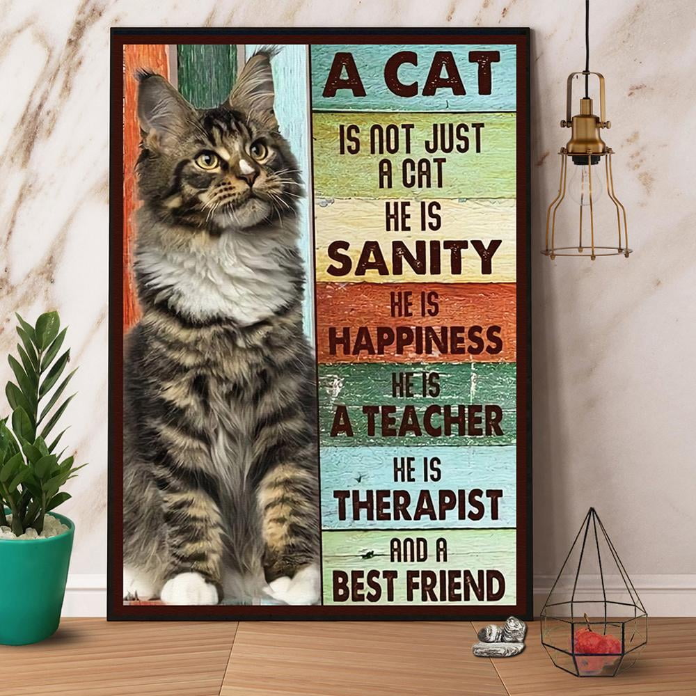 Main Coon A Cat Is Not Just A Cat He Is Sanity Happiness A Teacher ...