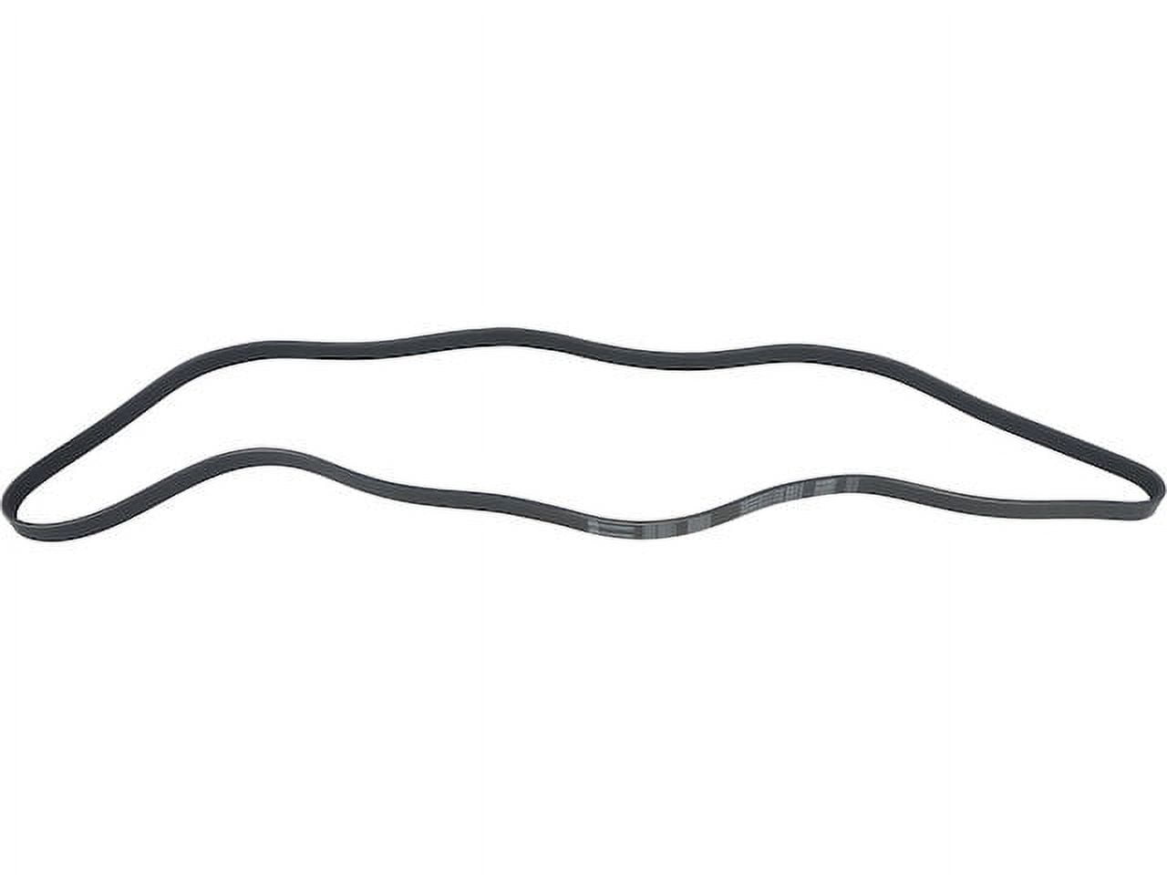 Main Drive Multi Rib Belt - Compatible with 1994 - 1996 Ford Taurus GL ...