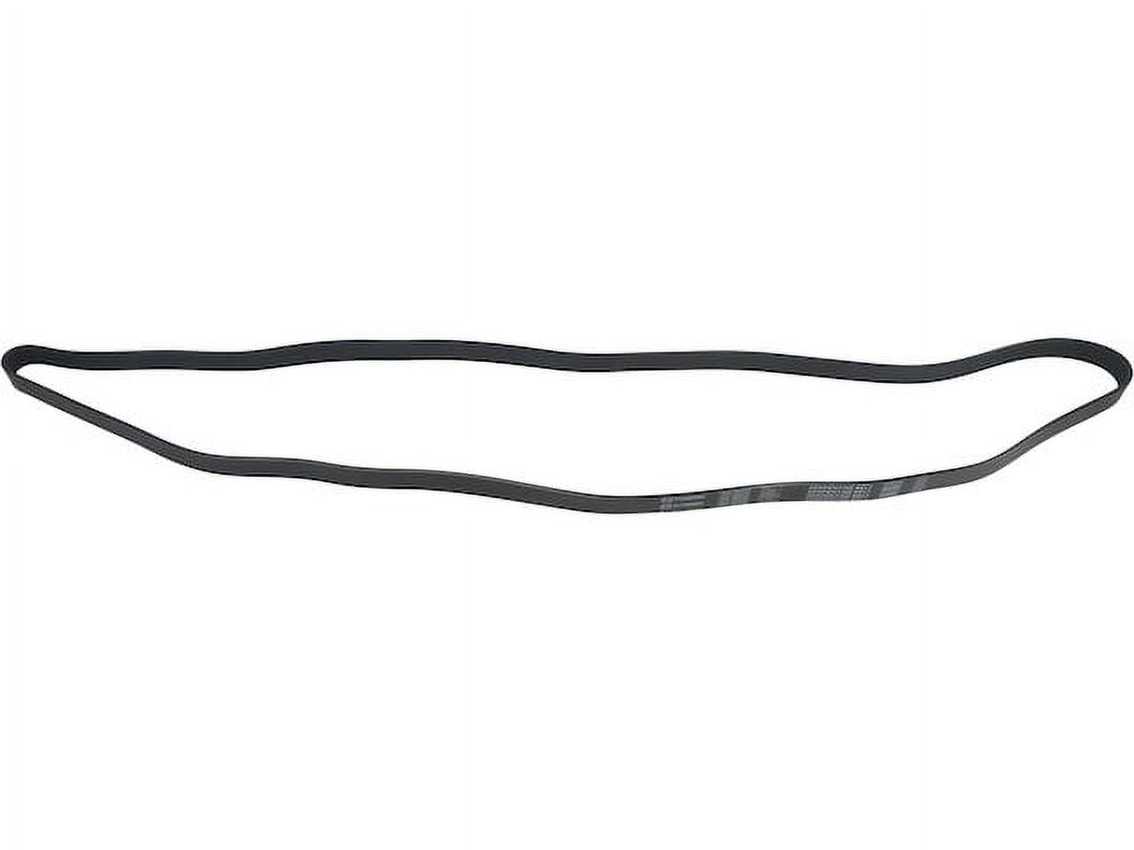 Main Drive Multi Rib Belt - Compatible with 2005 - 2012 Nissan ...