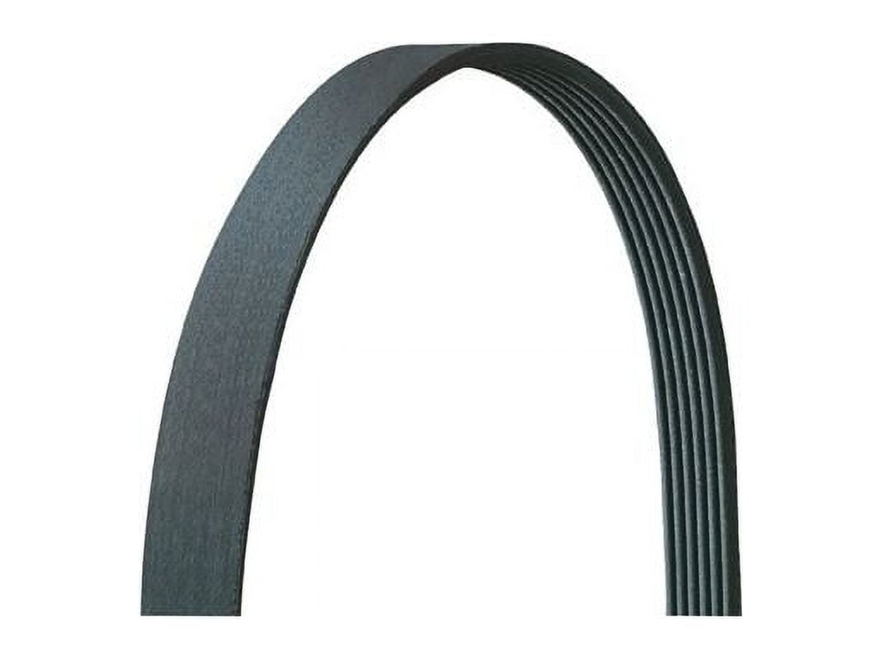 Main Drive Multi Rib Belt - Compatible with 2010 - 2016 Jaguar XJ 2011 ...