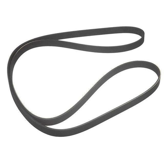 Main Drive Multi Rib Belt - Compatible with 2014 - 2018 BMW X5 ...
