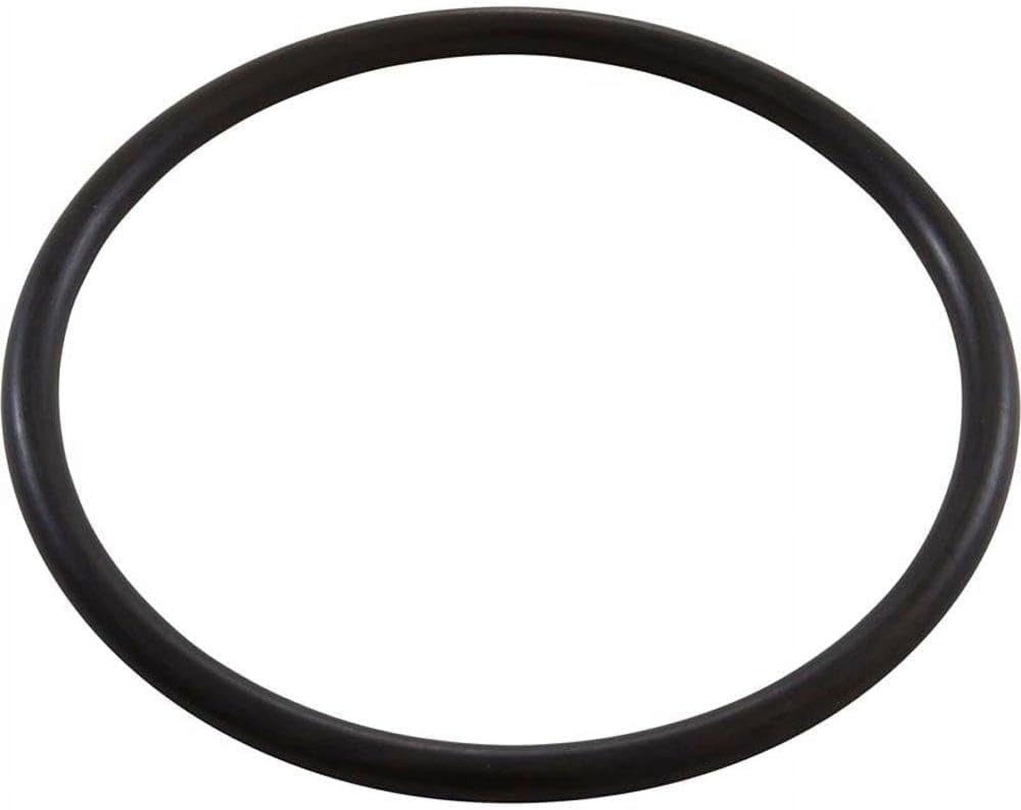 Main O-Ring Electrode Housing Replacement for AquaPure Ei Series ...