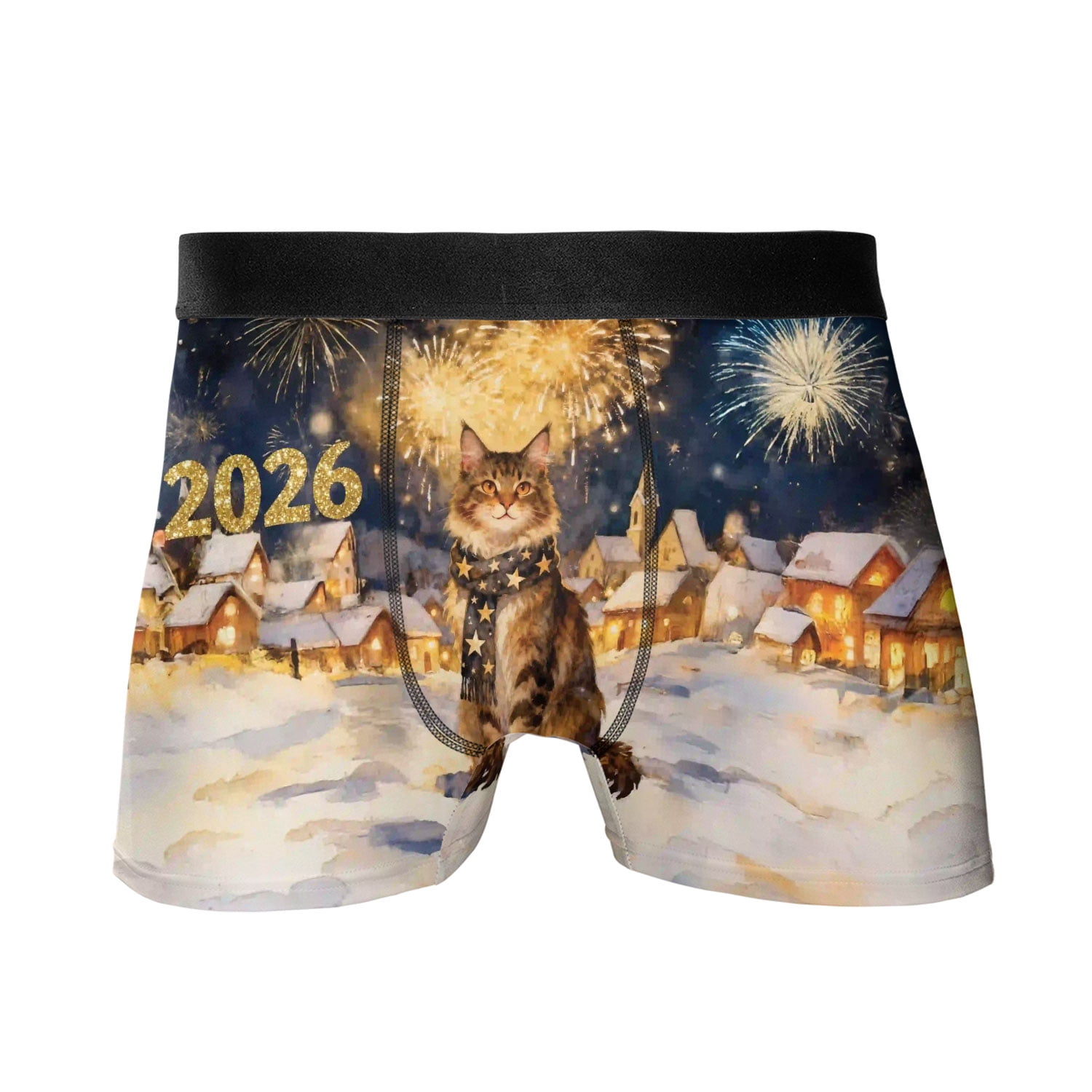 Maine Coon Happy New Year 2026 with Fireworks on New Year's Eve All ...