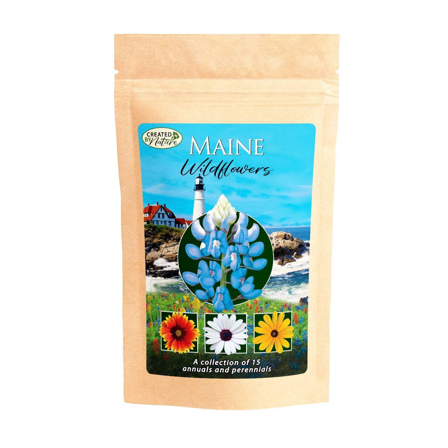 Maine Wildflower Seed Mix, Covers 325 Sq Ft, 15 Flower Varieties, Over ...