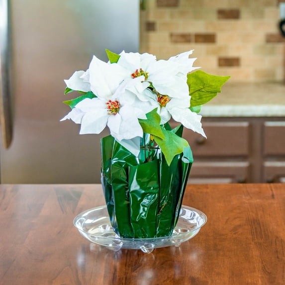 Mainstays 10 Inch Round Clear Vinyl Plant Saucer for Indoor Outdoor ...