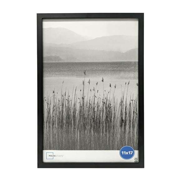 11X17 Poster Frames