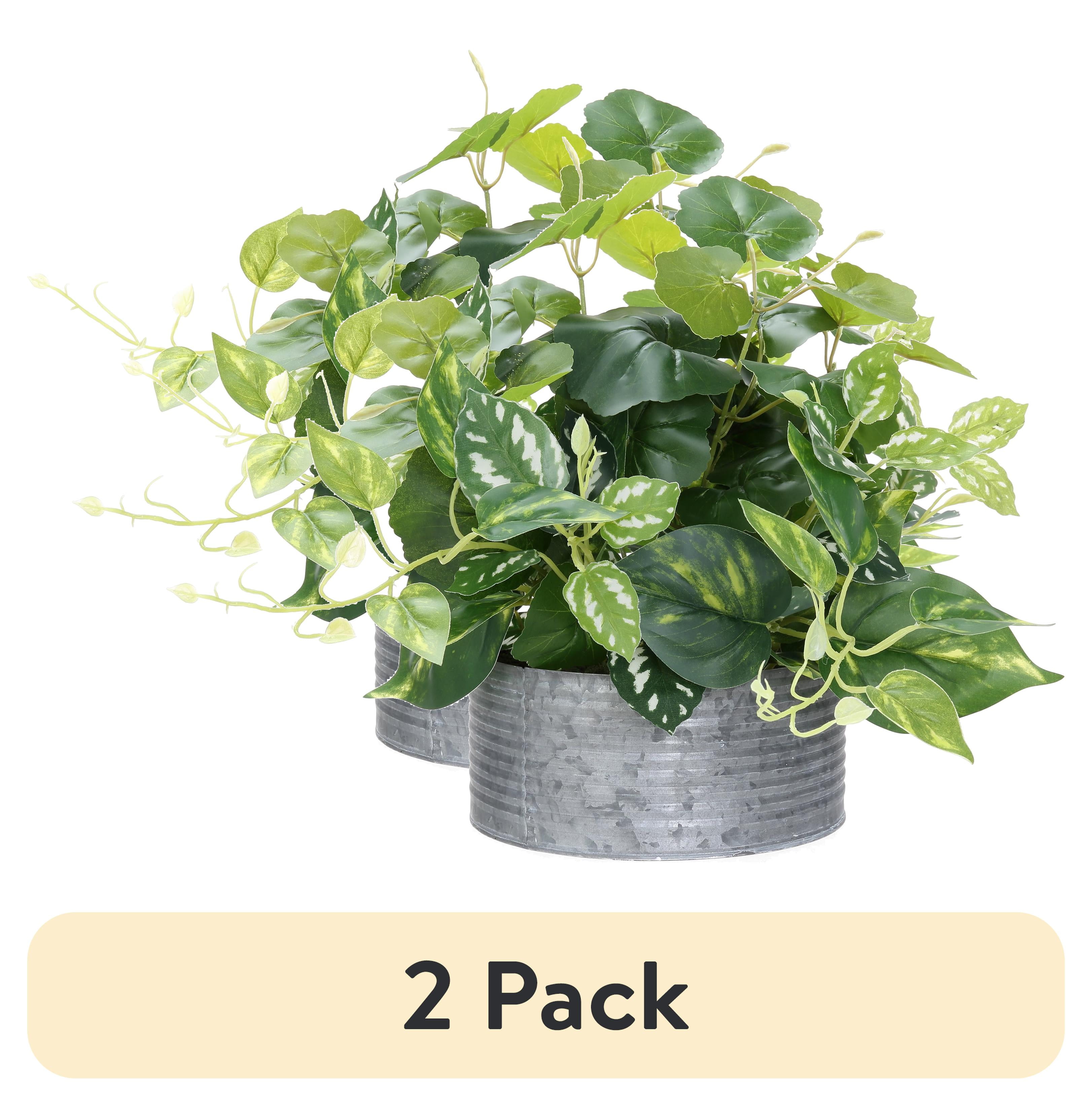 (2 pack) Mainstays 12" Green Artificial Ivy Plant in Silver Galvanized ...
