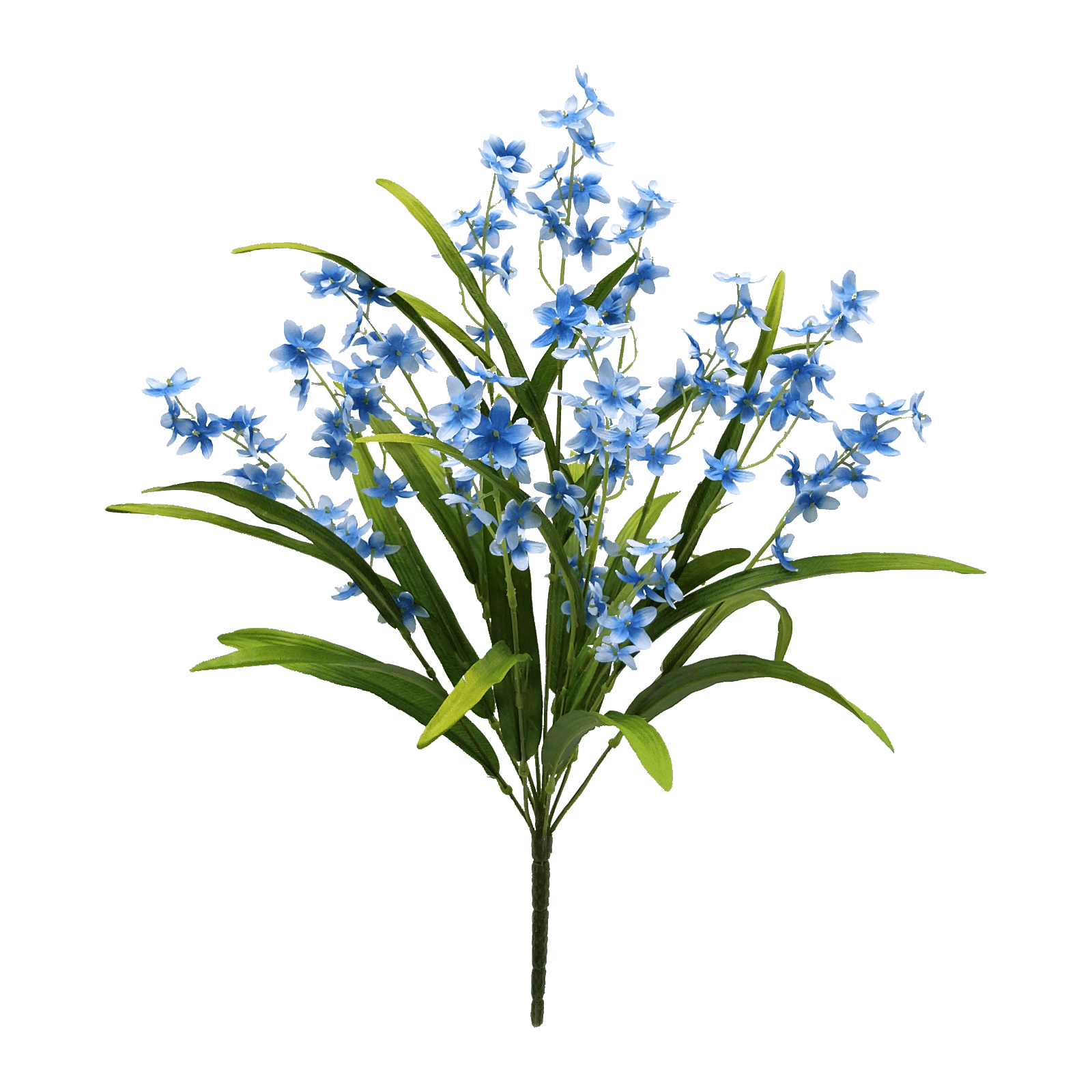 Jasmine Flower Pictures Color | Best Flower Site