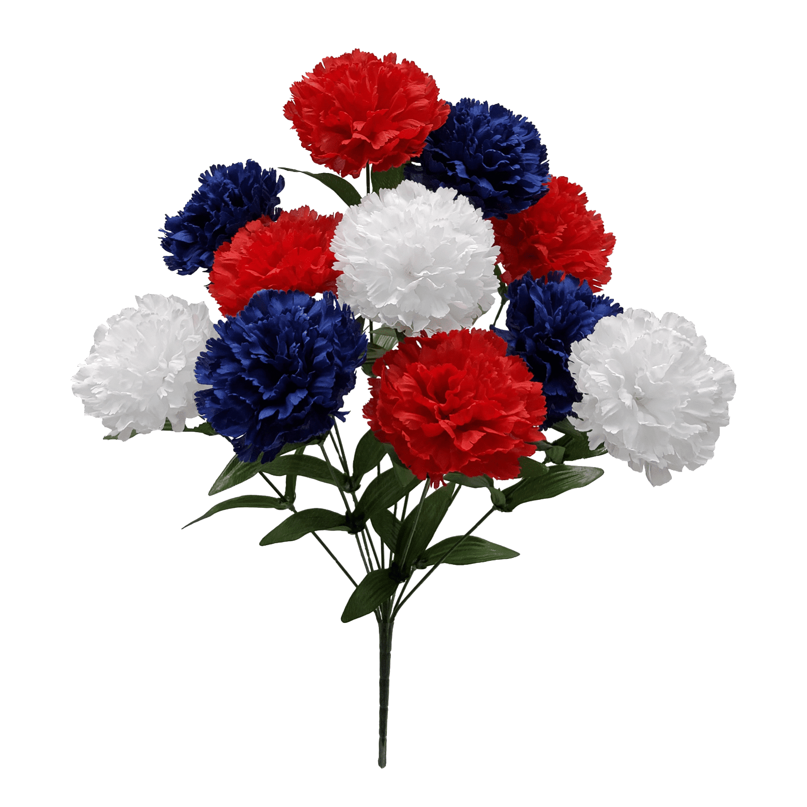 Blue Carnation Flowers