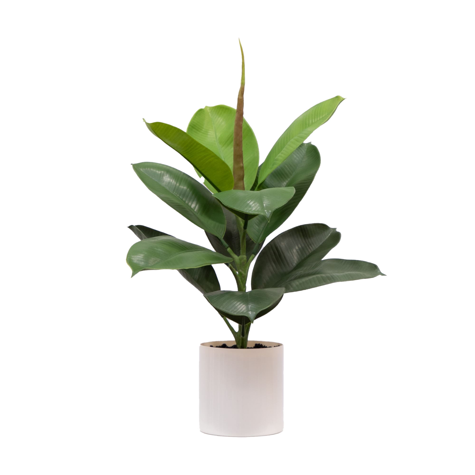 Mainstays 20"H Artificial Indoor Fiddle Leaf Fig Plant in Plastic ...