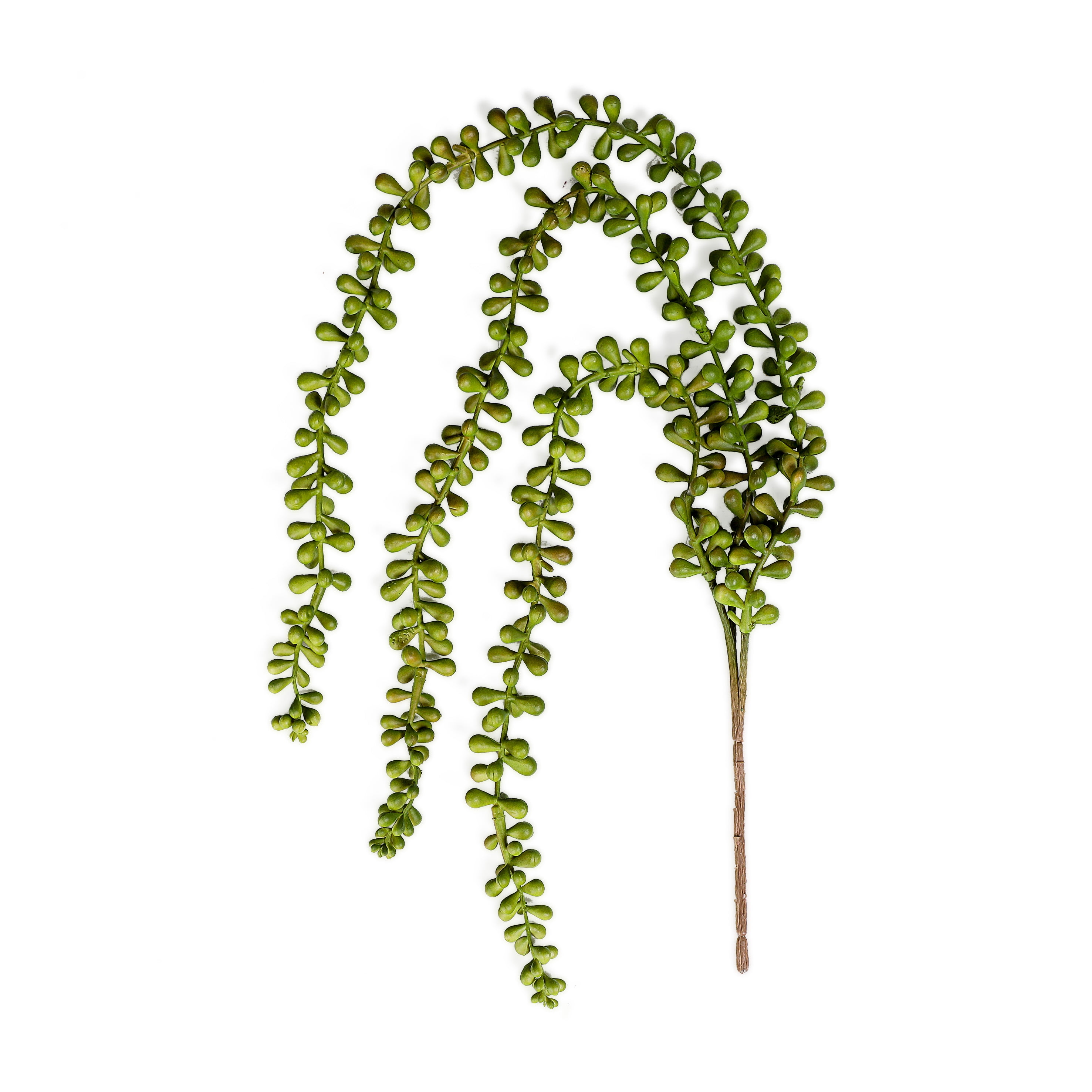Mainstays 24" Artificial String of Pearls Succulent Pick, Dark Green ...