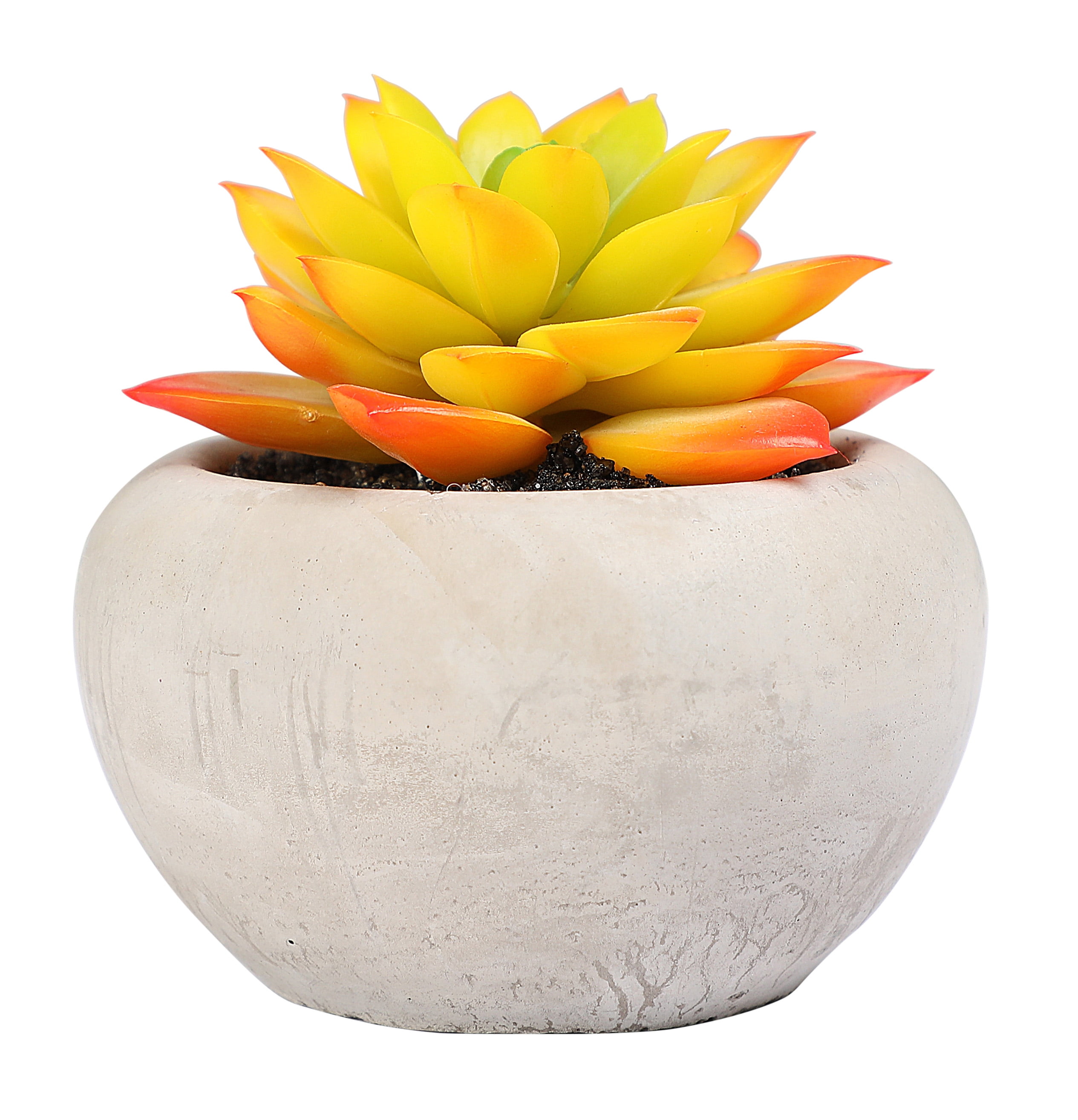 Mainstays 3.54in Faux Succulent in Cement Pot, Yellow & Orange, Small ...