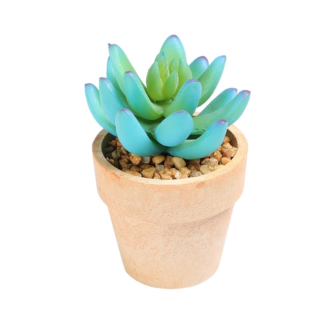 Mainstays 3.74" Artificial Succulent Plant in Paper Pulp Pot, Blue ...