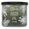 Mainstays 3-Wick Ombre Wrapped Alpine Forest Scented Candle, 14 oz ...