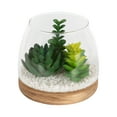 Mainstays 5" Tabletop Faux Succulent Glass Terrarium on Circle Wood ...